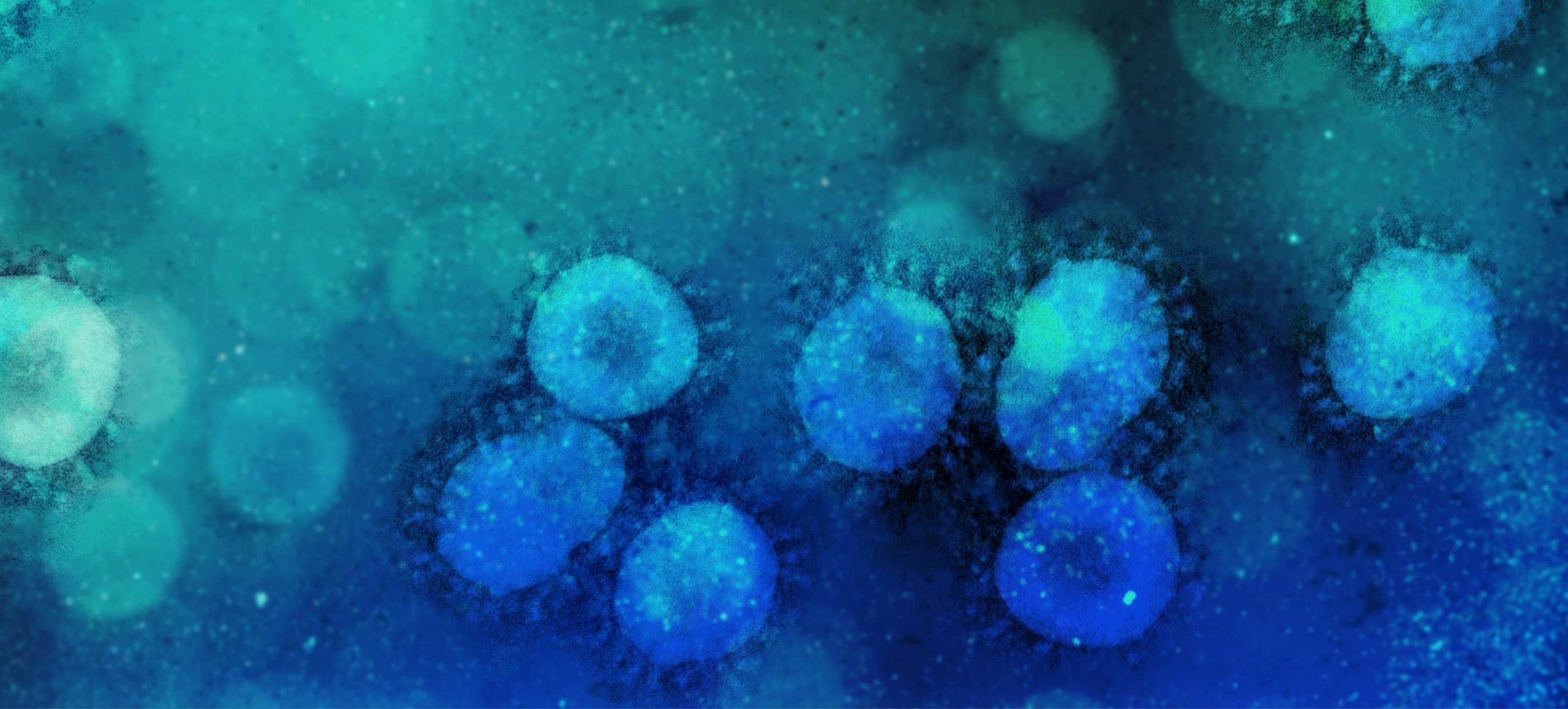 Insights - Biopharma Excellence